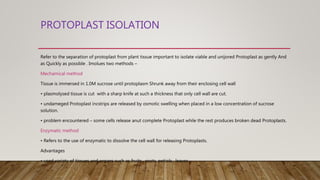 Protoplast culture and isolation | PPTX