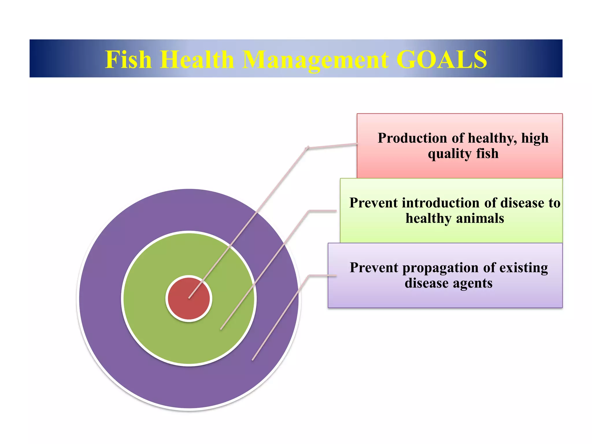 Fish Health Management | PDF