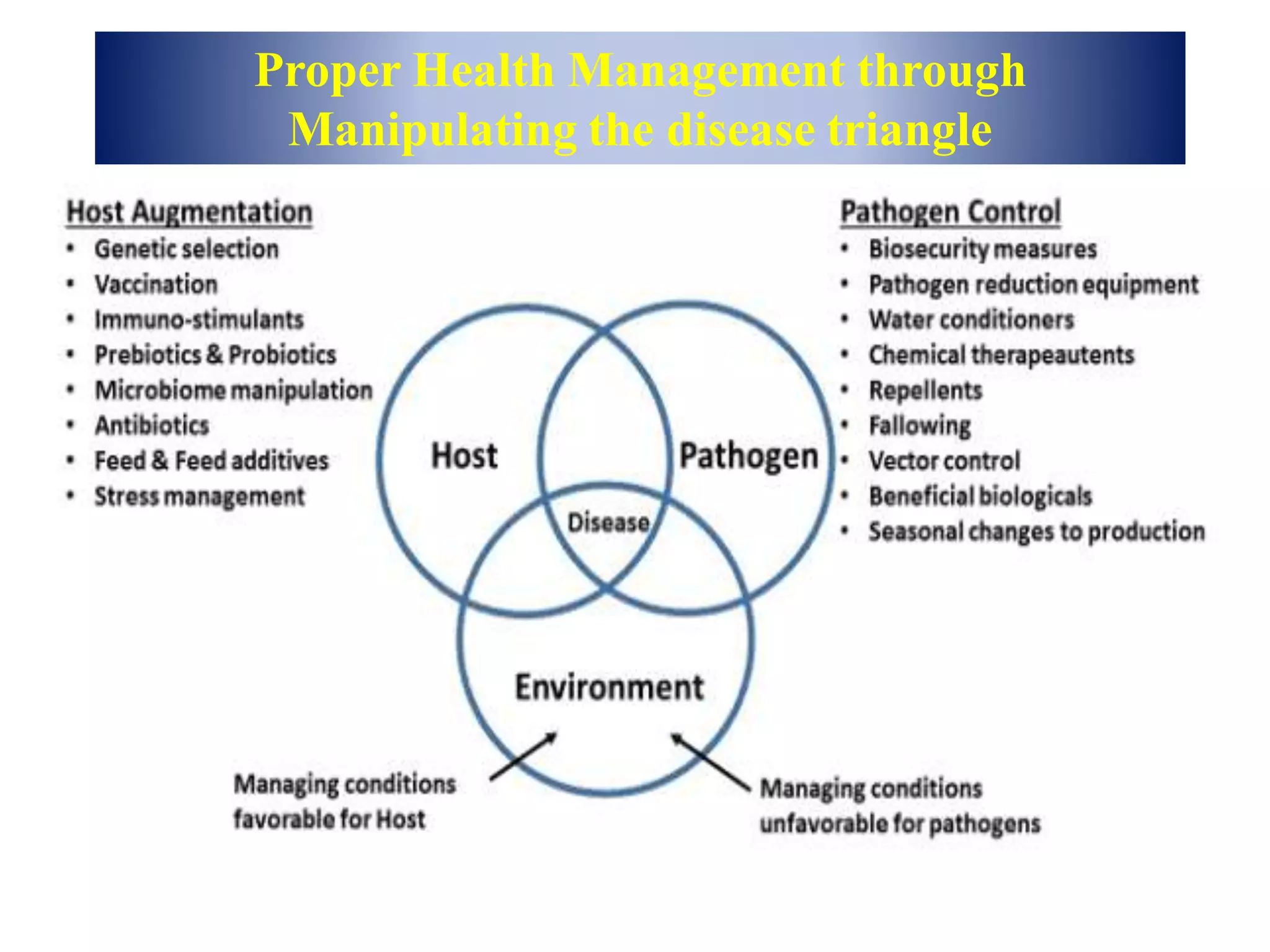 Fish Health Management | PDF