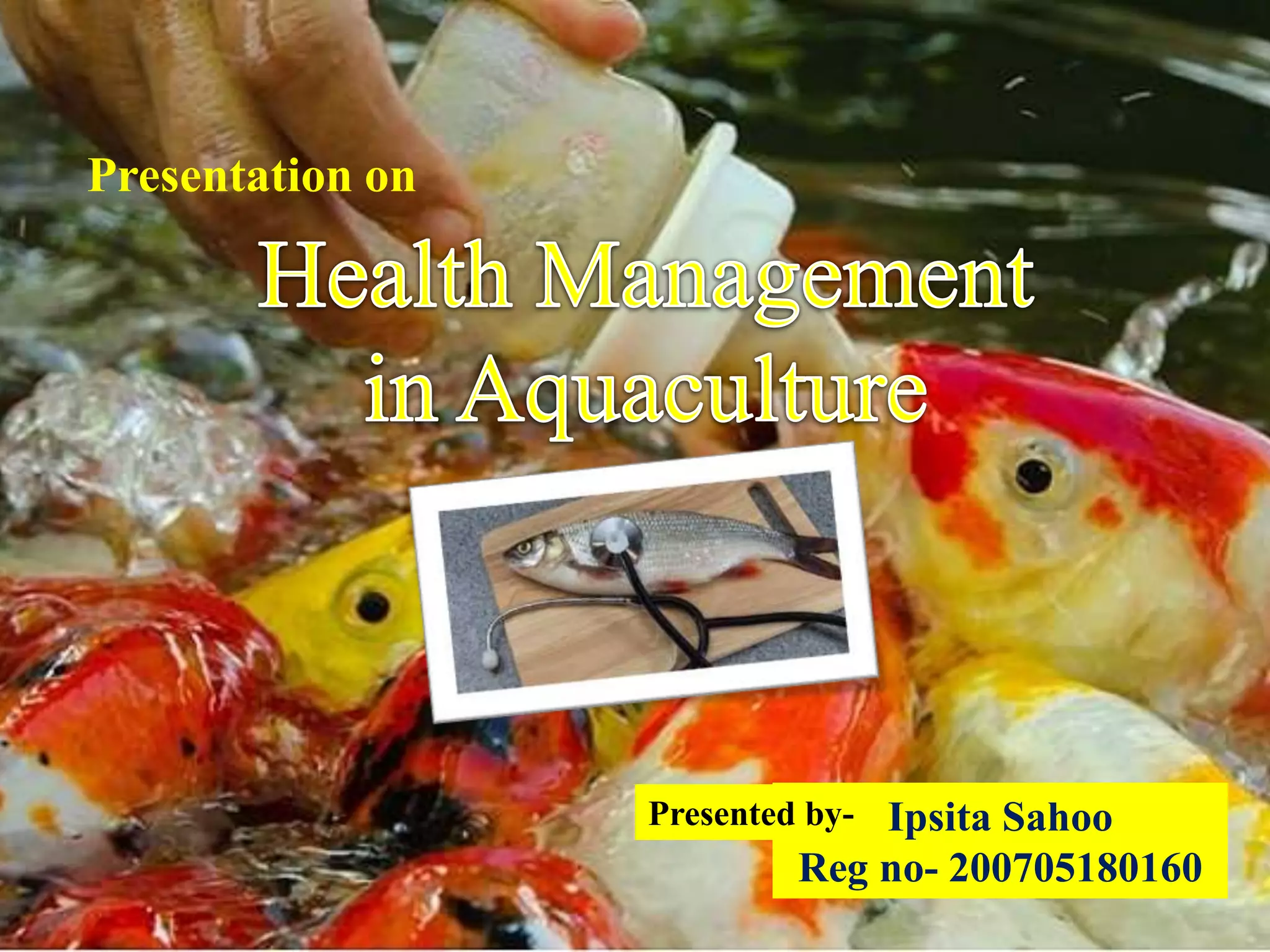 Fish Health Management | PPT