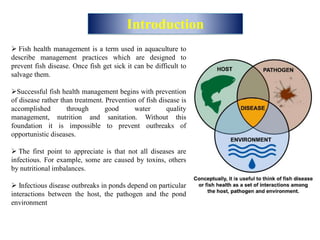 Fish Health Management | PDF
