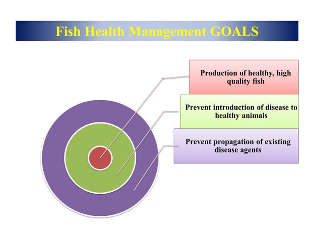 Fish Health Management | PDF | Infectious Diseases | Diseases and ...