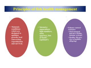 Fish Health Management | PDF