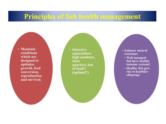 Fish Health Management | PDF | Infectious Diseases | Diseases and ...
