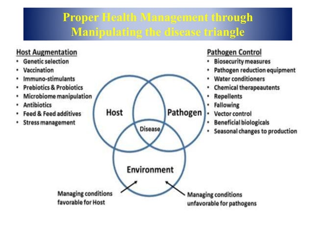 Fish Health Management | PDF | Infectious Diseases | Diseases and ...
