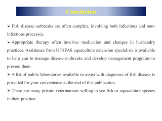 Fish Health Management | PDF