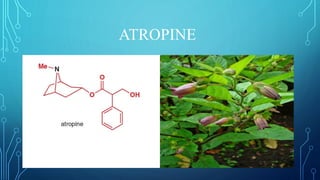 Slide share of atropine | PPTX