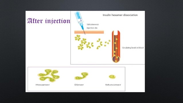 Insulin therapy | PDF
