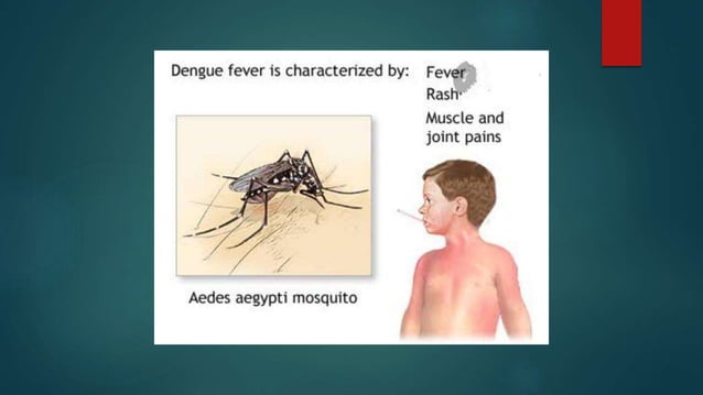 dengue syndrome | PPTX | Infectious Diseases | Diseases and Conditions