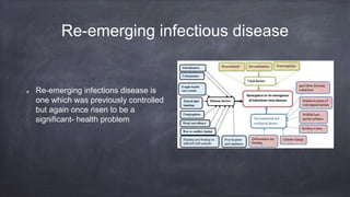 Emerging and reemerging infections | PPTX | Infectious Diseases ...