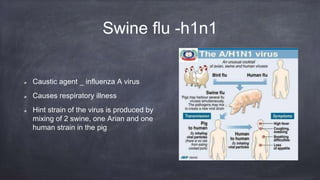 Emerging and reemerging infections | PPTX