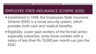 Presentation (3).pptx