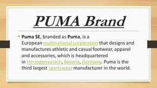 Presentation (3).pdf