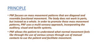 Presentation (3).pptx