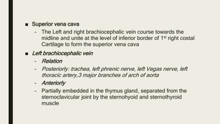 Veins of neck region | PPTX