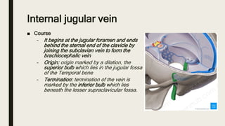 Veins of neck region | PPT