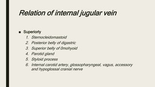 Veins of neck region | PPT