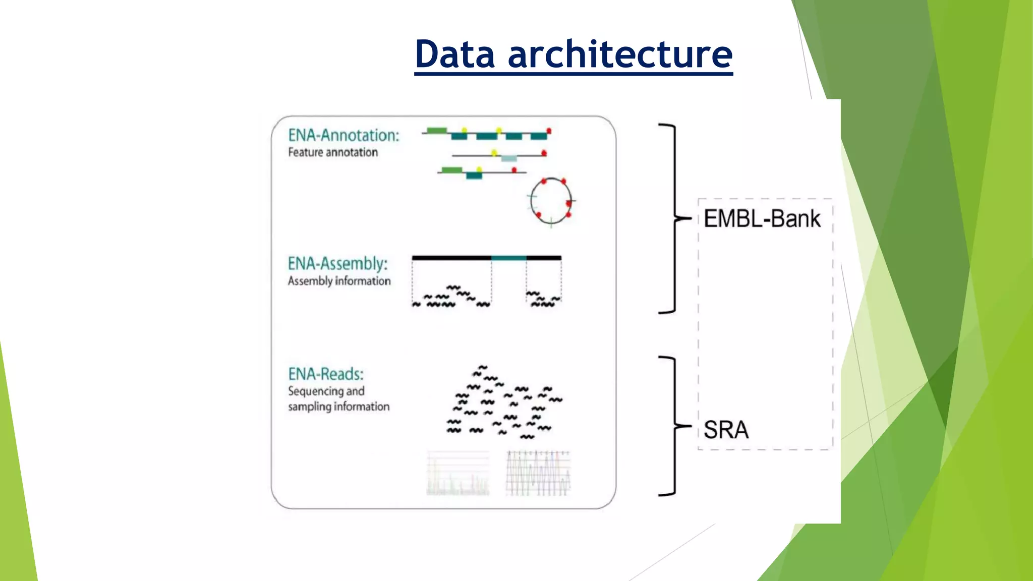 Presentation (3).pptx