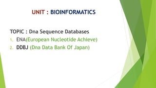 Presentation (3).pptx