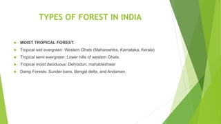 Forest resources | PPTX