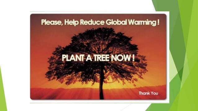 Forest resources | PPT