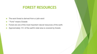 Forest resources | PPT