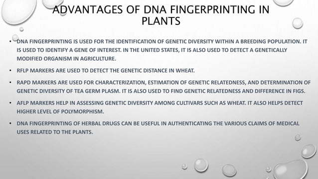 DNA FINGERPRINTING BY JAMWAL | PPT