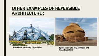 Presentation (3).pptx