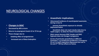 Presentation (3).pptx