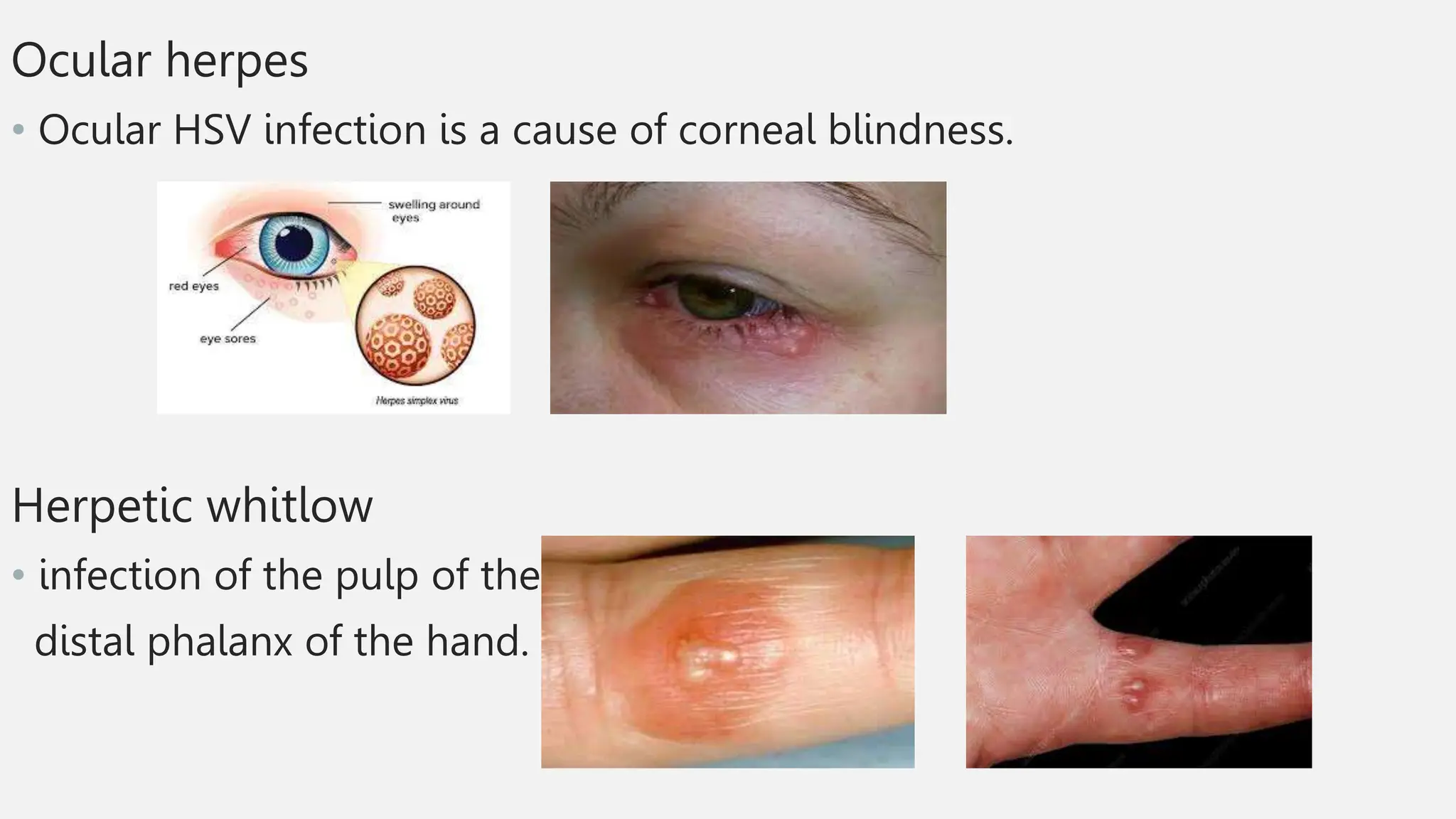 Presentation (3).pptx