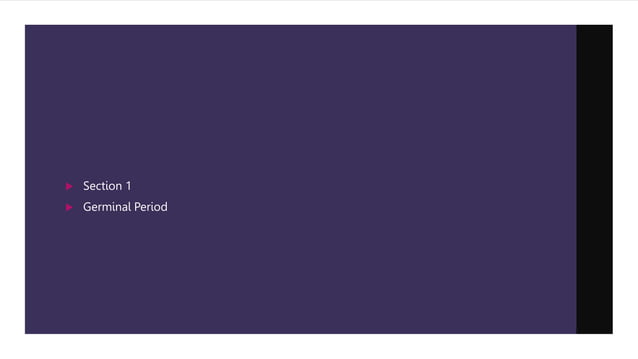 gestational period: germinal, embryonic, and fetal. | PPTX | Pregnancy ...