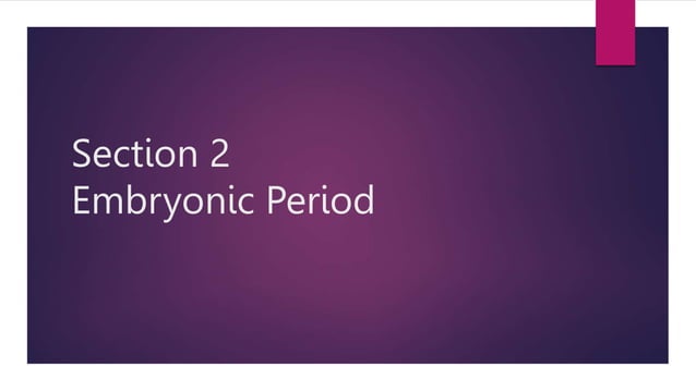 gestational period: germinal, embryonic, and fetal. | PPTX | Pregnancy ...