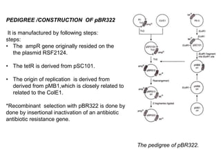 Presentation (3).pptx very useful see it niv | PPTX