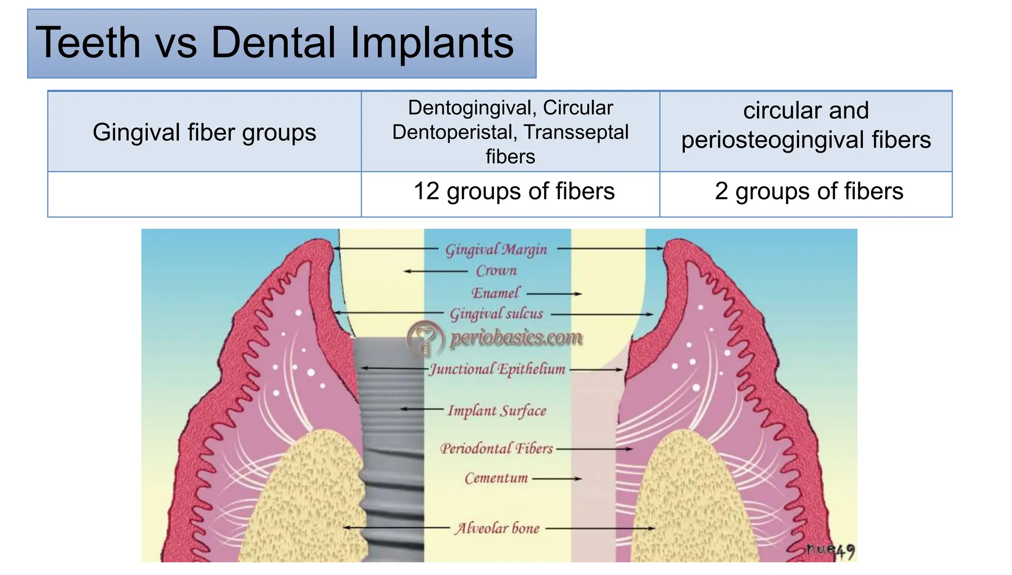 per-implant pathology (per-implanitits + Peri-Implant Mucositis) | PPTX