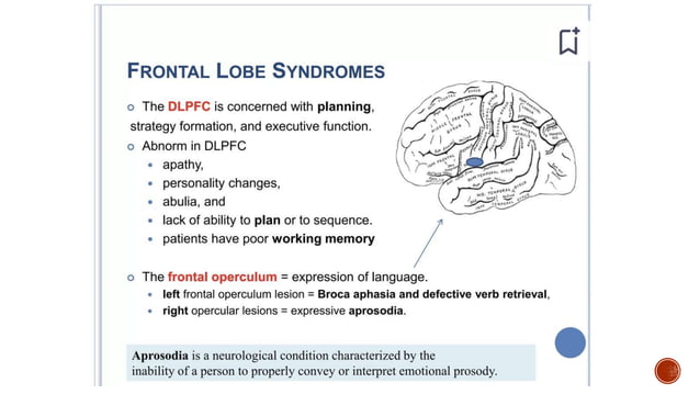 Presentation 3.pptx about frontal lobe a | PPT