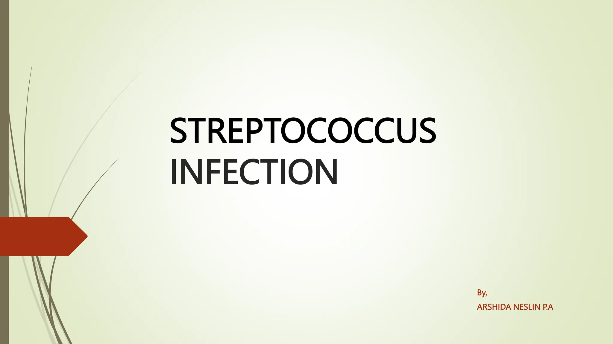 Streptococcus infections ppt download free | PPTX