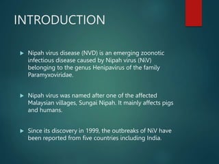 Nipah Virus and Nipah virus disease described | PPTX