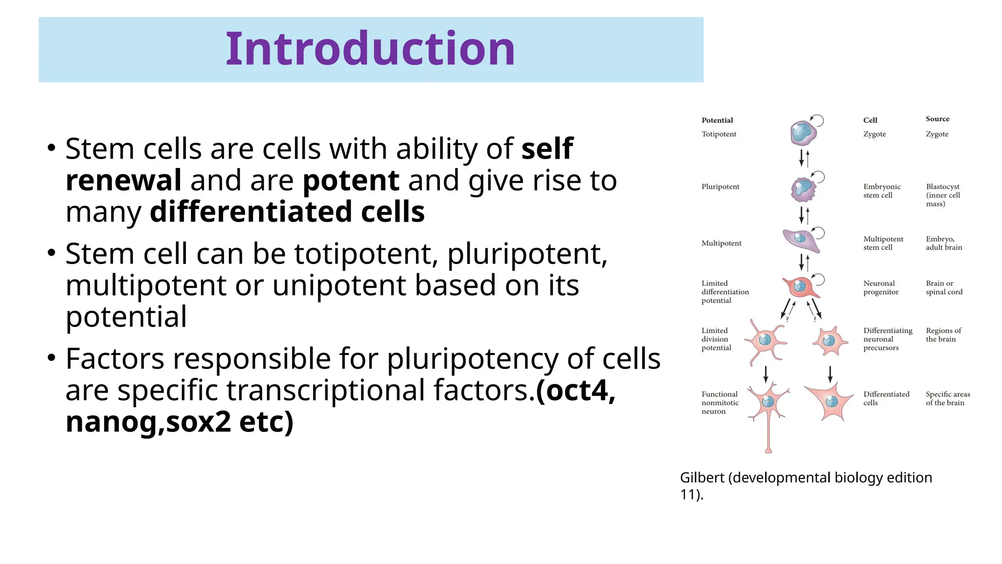 Stem cells in regenerative medicine ,Mechanism and signalling pathways | PPTX