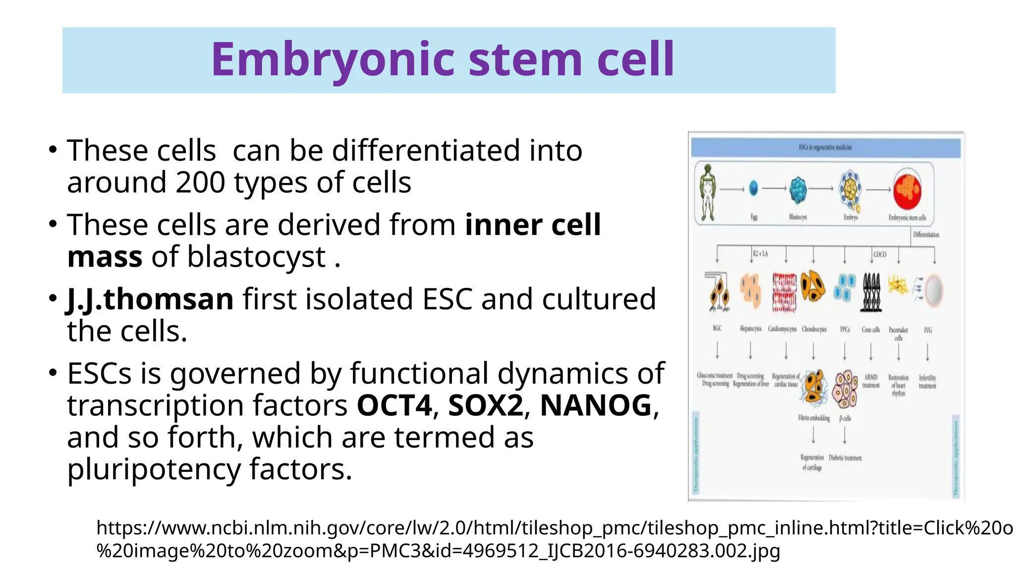Stem cells in regenerative medicine ,Mechanism and signalling pathways ...