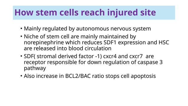Stem cells in regenerative medicine ,Mechanism and signalling pathways ...