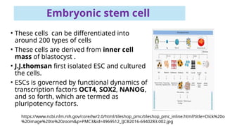 Stem cells in regenerative medicine ,Mechanism and signalling pathways ...