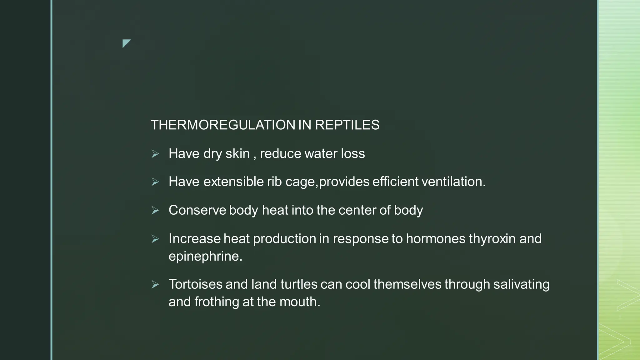 Thermoregulation in vertebrates presentation | PDF | Reptiles | Pets