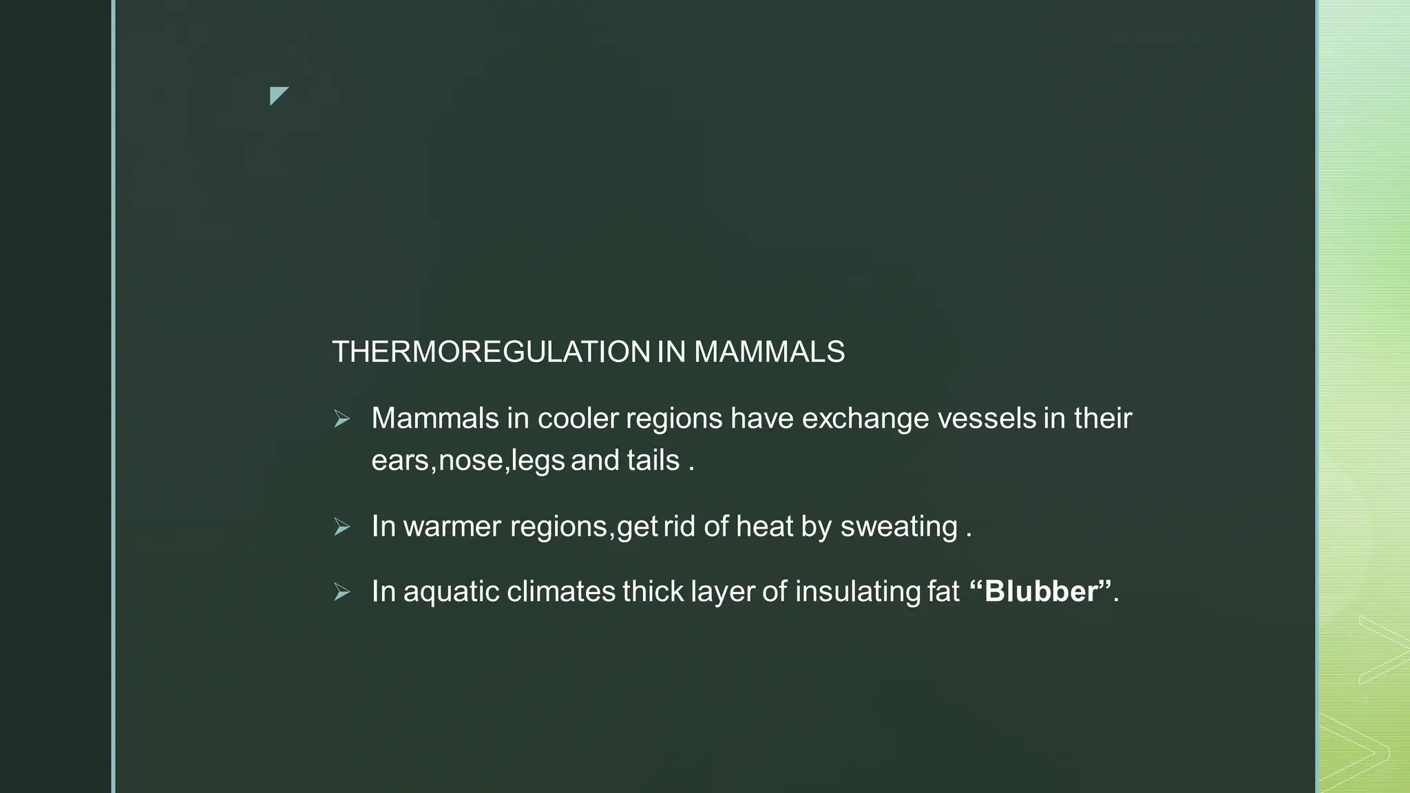Thermoregulation in vertebrates presentation | PDF | Reptiles | Pets