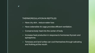 Thermoregulation in vertebrates presentation | PDF | Reptiles | Pets