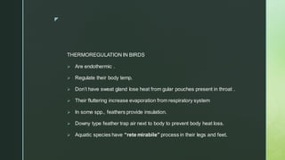 Thermoregulation in vertebrates presentation | PDF | Reptiles | Pets