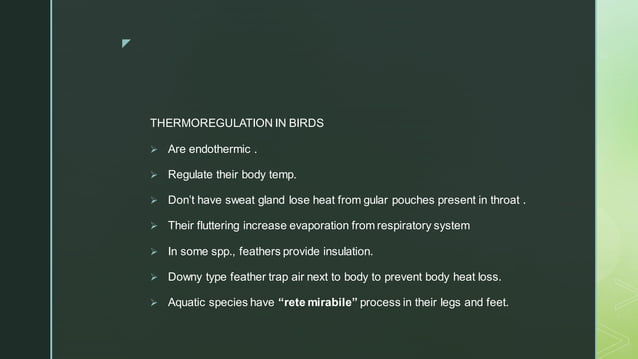 Thermoregulation in vertebrates presentation | PDF | Reptiles | Pets