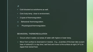 Thermoregulation in vertebrates presentation | PDF | Reptiles | Pets