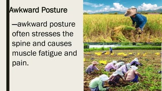 Ergonomic Hazard Present in Work place Station | PPT