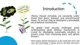 Plant Defence Mechanisms: From Molecular Biology to Crop Protection ...