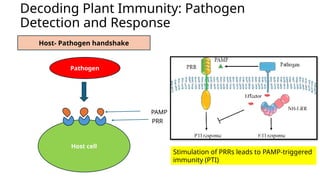 Plant Defence Mechanisms: From Molecular Biology to Crop Protection ...